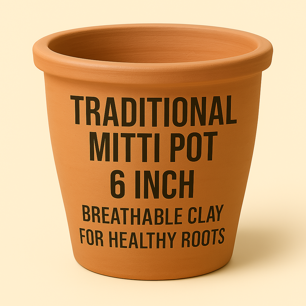 Top 6 Inch Traditional Mitti Pot – Breathable Clay
